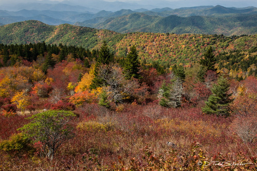 Western North Carolina | North Carolina | D. Todd Schneider Photography