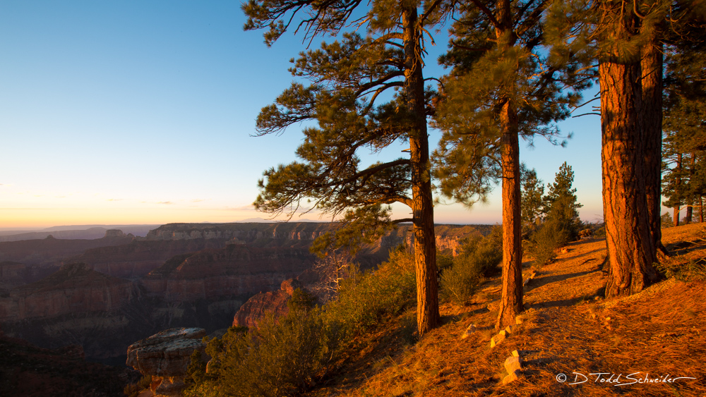 Northern Arizona | Arizona | D. Todd Schneider Photography